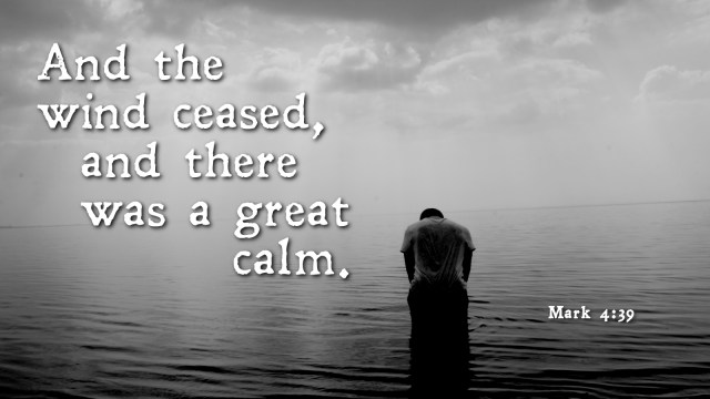 Peace | In the Beginning